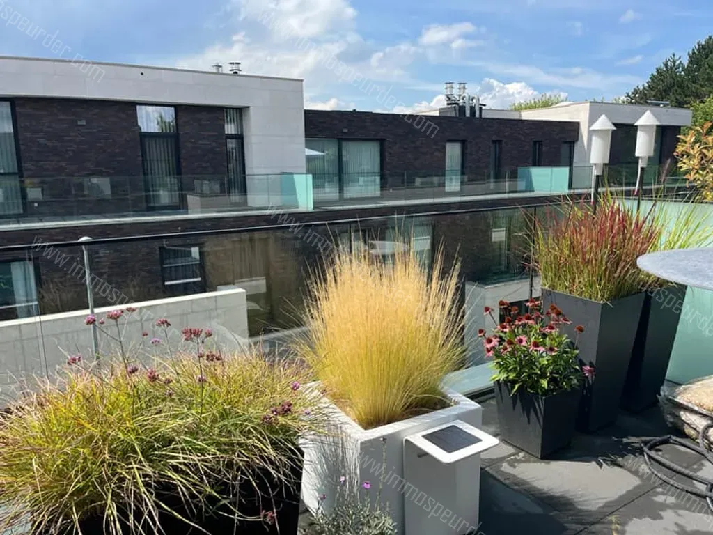 Hof Van Emblehem 6A - 2520 Ranst-emblem - 1549093 | ImmoSpeurder