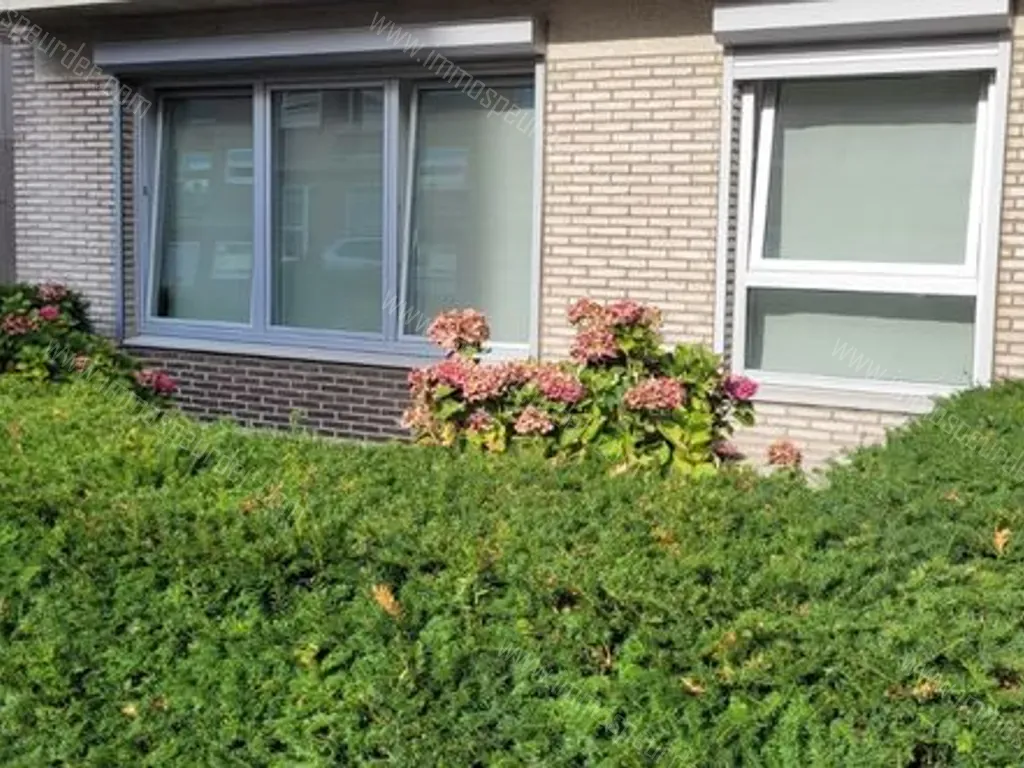 Antoon Wolfsstraat 8 - 2900 Schoten - 1551428 | ImmoSpeurder