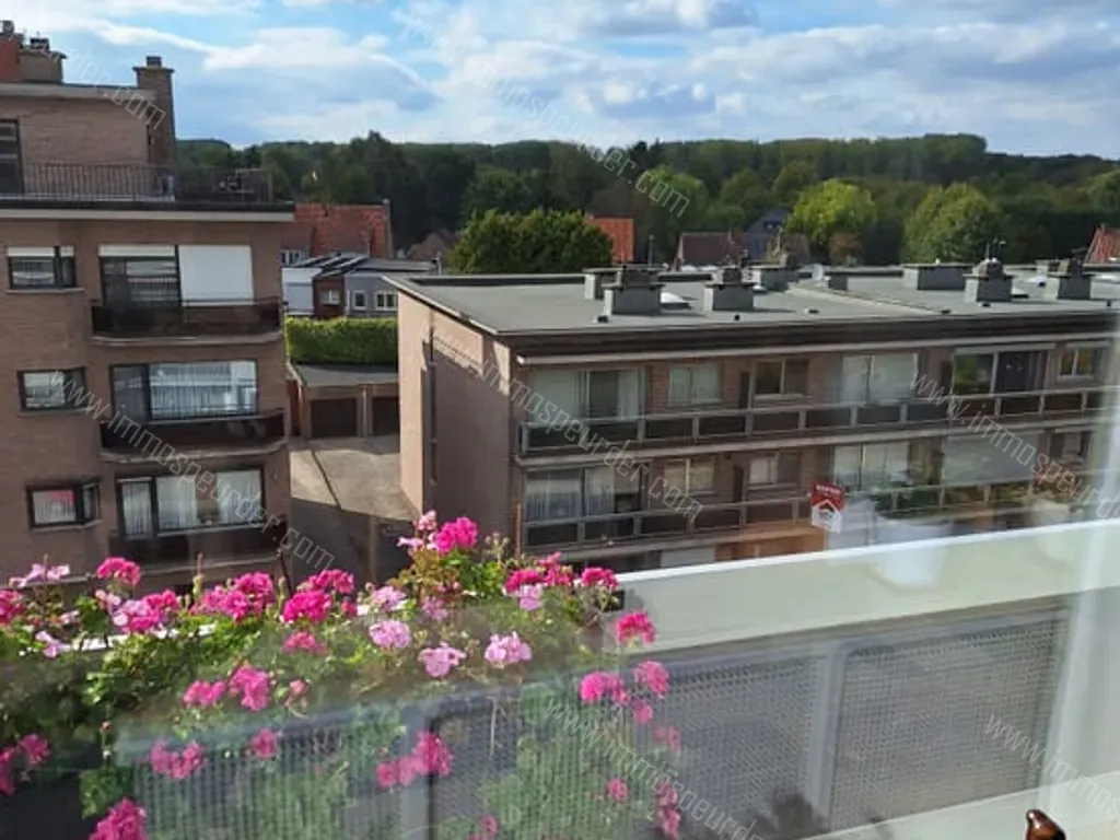 Antoon Wolfsstraat 26 - 2900 Schoten - 1551432 | ImmoSpeurder