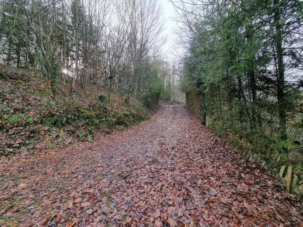 Rue d'Izier 1 - 6941 Bomal-sur-Ourthe - 1122708 | ImmoSpeurder