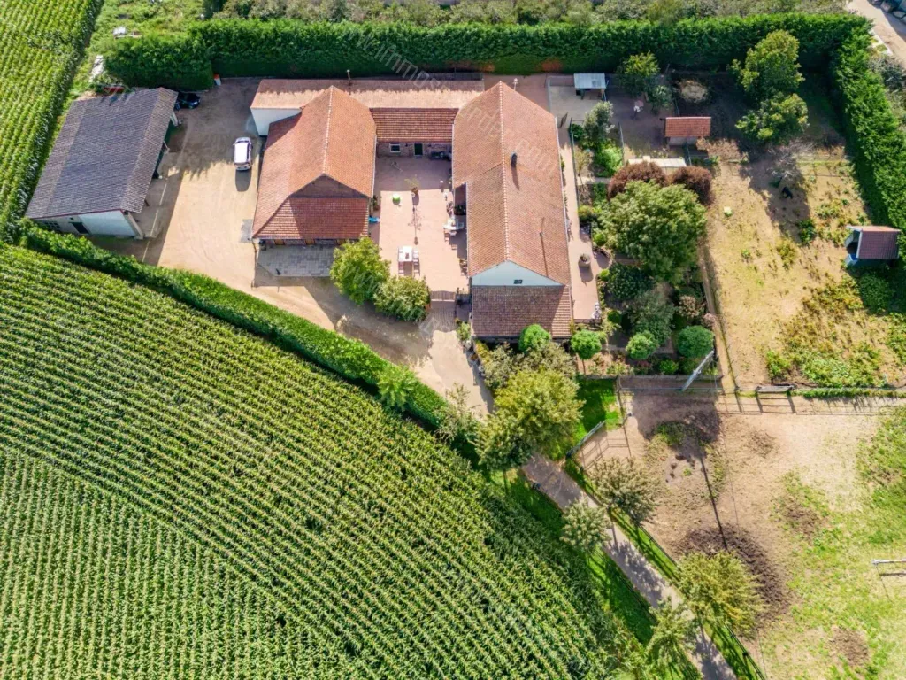 Raamdijk 3 - 3640 Kinrooi - 1262449 | ImmoSpeurder