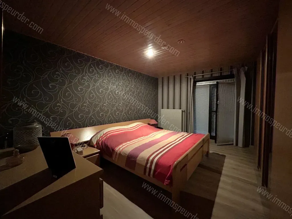 Sparrenweg 218 - 3980 Tessenderlo - 1304243 | ImmoSpeurder