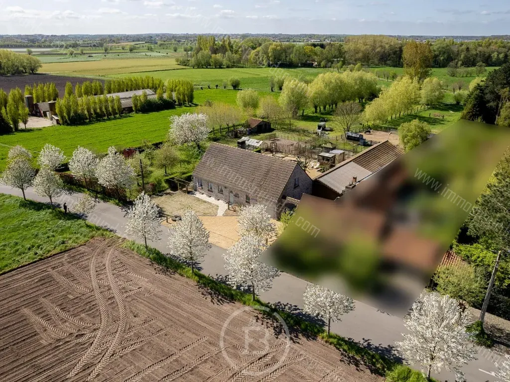 Bevrijdingsweg 53 - 8480 Ichtegem - 1164608 | ImmoSpeurder